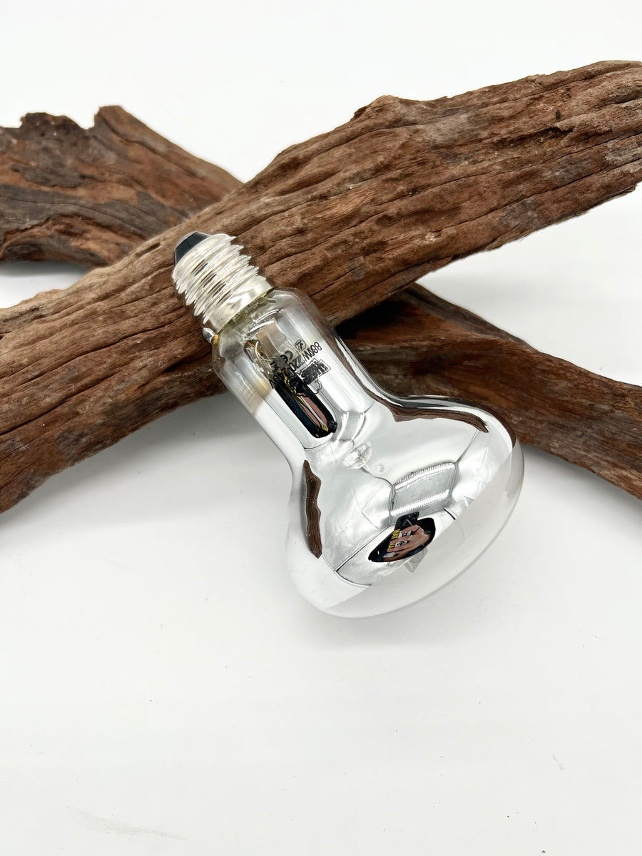 Lucky Herp Mercury Vapor Bulb 80w (Coated) – Wyvern