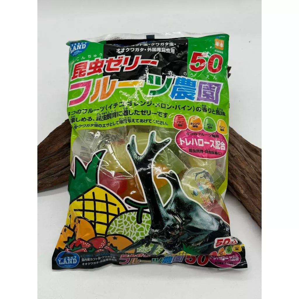 Marukan Insect Beetle Jelly (50 PCS) – Wyvern