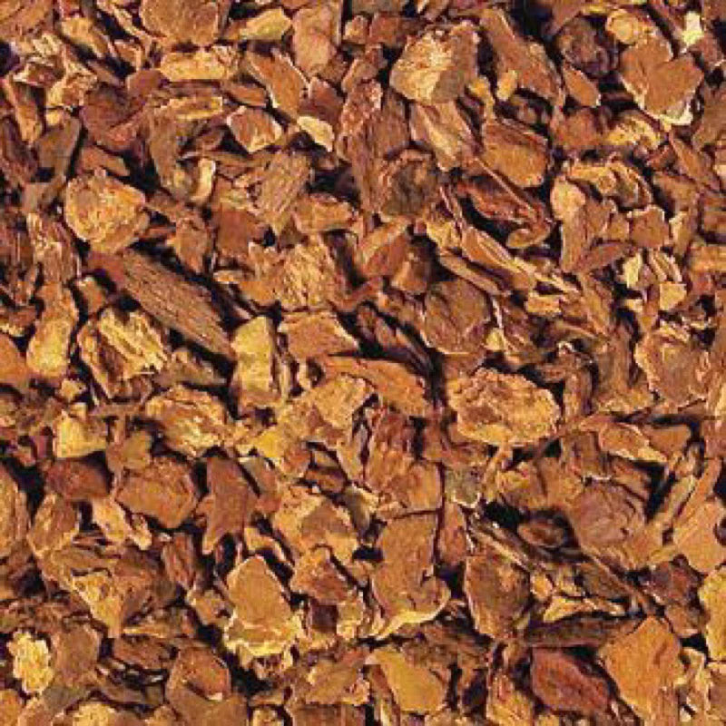 Zoo Med Repti Bark Bedding 8qt – Wyvern
